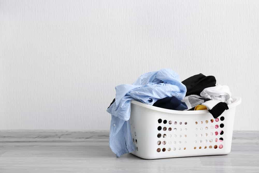 Free Laundry Programs In 2024 Wash Now Exclusive Guide free-laundry-programs-in-2024-wash-now-exclusive-guide